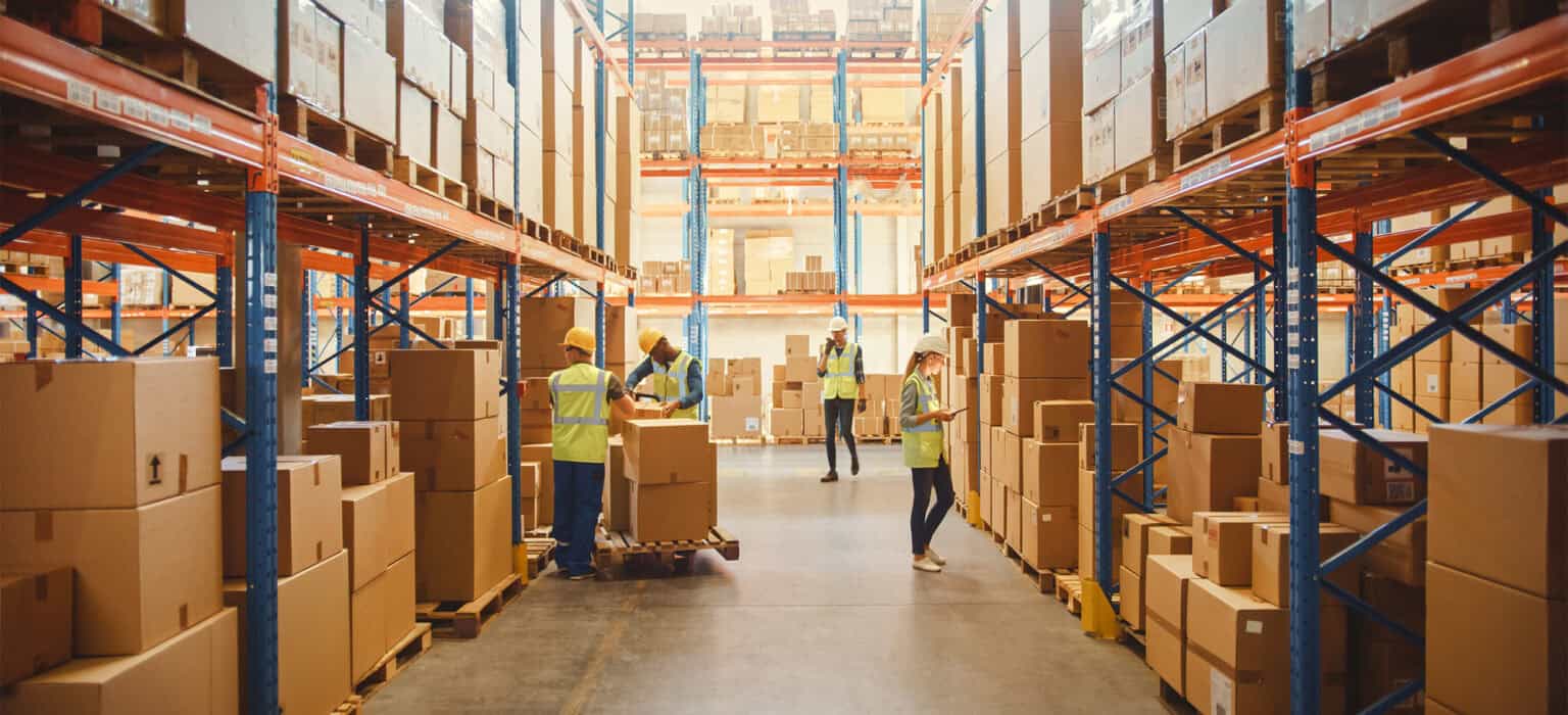 Demand Forecasting Guide - Blue Ridge Solutions Inc